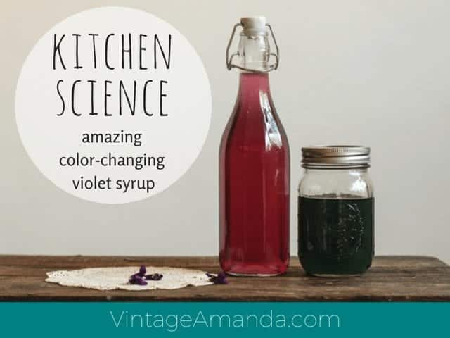 Kitchen science experiments: Violets and pH | Amanda Cook